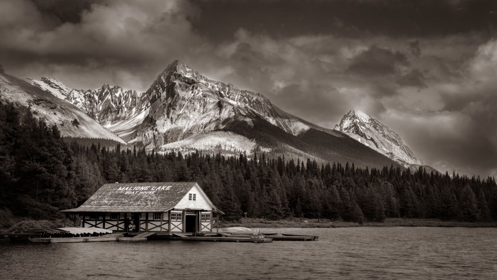Toronto Camera Club - TCC Homepage