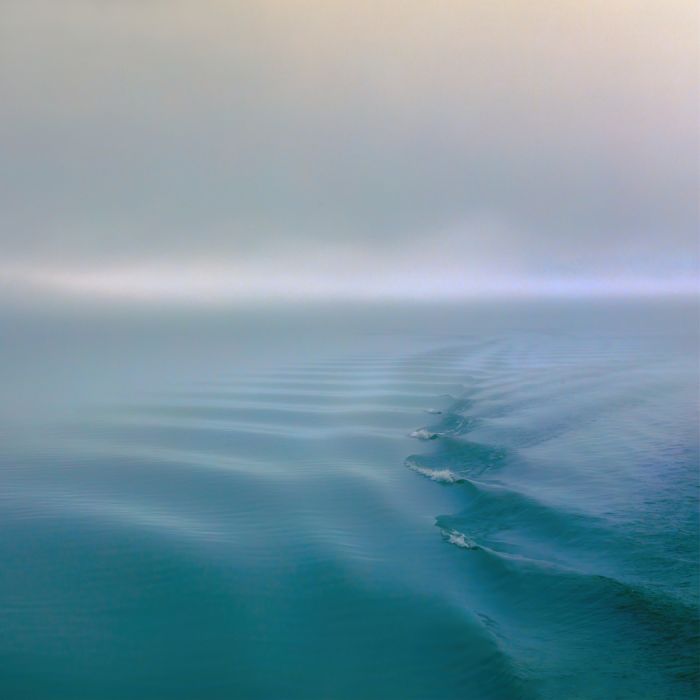 Toronto Camera Club - Toronto Camera Club Membership Information